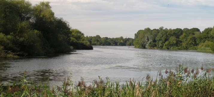 Coombe - Garden | Capability Brown