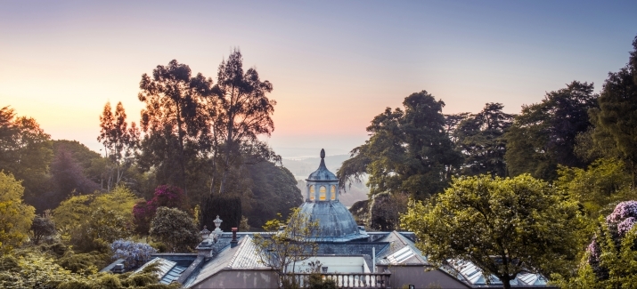 Mamhead (The Orangery) - Garden | Capability Brown